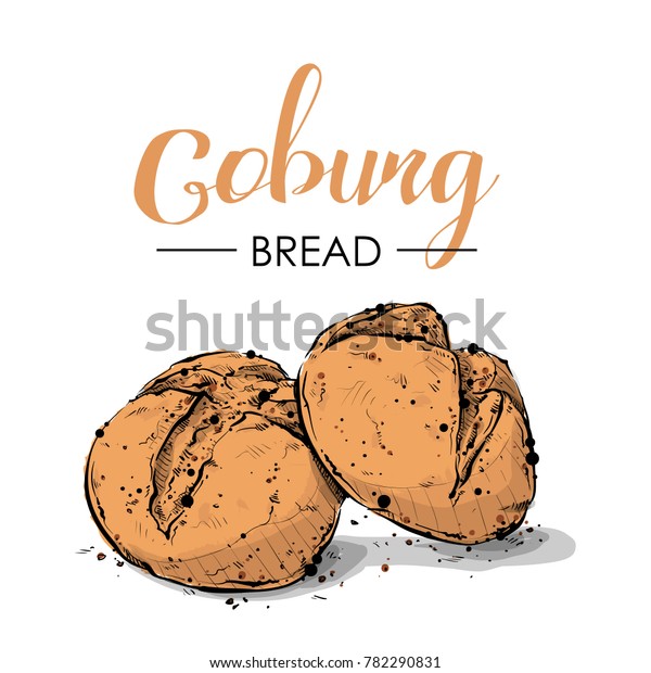 Coburg Bread Drawing Sketch Style Vector Stock Vector (Royalty Free ...