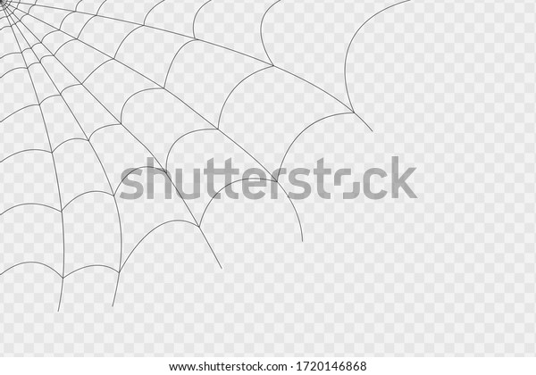 Cobweb Isolated On White Transparent Background Stock Vector (Royalty ...