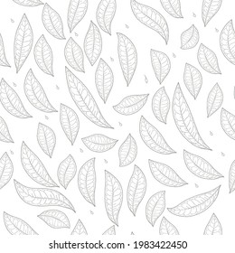 Coca Leaves Drawing Vector Seamless Pattern Stock Vector (Royalty Free ...
