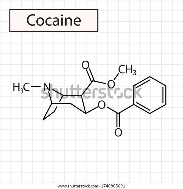 Cocaine Structure Chemistry Vector Illustration Stock Vector (Royalty ...
