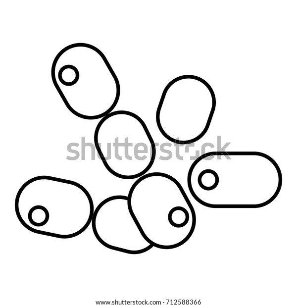Coccus Bacilli Icon Outline Illustration Coccus: vector de stock (libre ...