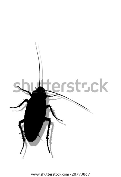 Cockroach On Wall Vector Art Stock Vector (Royalty Free) 28790869