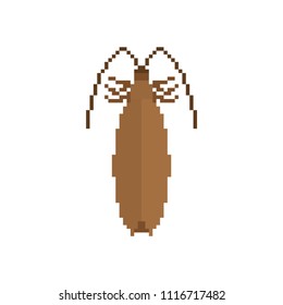 Vektor Stok Cockroach Pixel Art Insect 8 Bit (Tanpa Royalti) 1116717482 ...