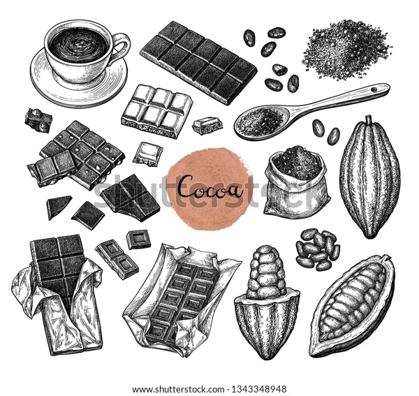 Cocoa Chocolate Set Ink Sketch Isolated Stock Vector (Royalty Free ...