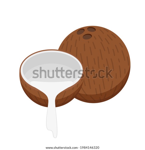 Coconut Cartoon Vector Coconut Vector Flat Stock Vector (Royalty Free ...