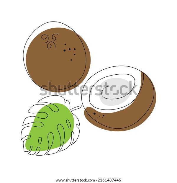 40,717 Coconut Shape Images, Stock Photos & Vectors | Shutterstock
