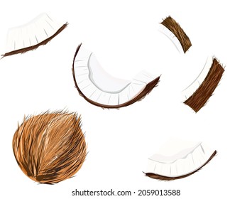 268 Coconut flakes Stock Vectors, Images & Vector Art | Shutterstock