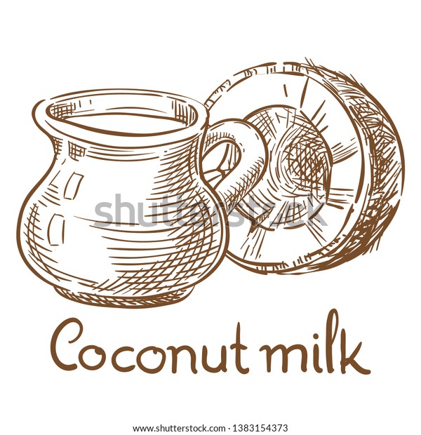 Coconut Milk Vector Sketch Hand Drawing Stock Vector (Royalty Free ...