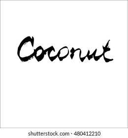 Coconut Word Typography Stock Vector (Royalty Free) 480412210 ...