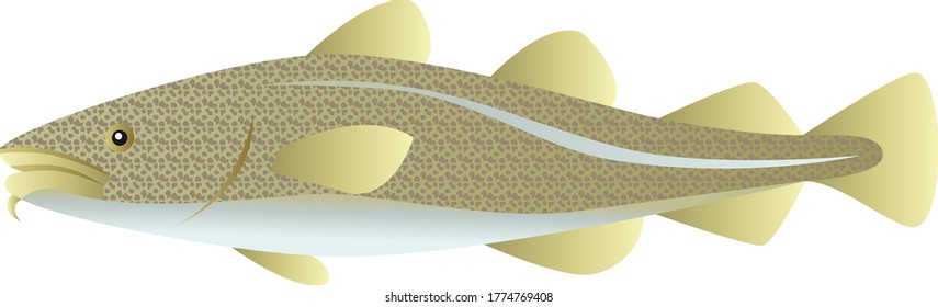 Cod Fish Isolated Clip Art Vector Stock Vector (Royalty Free ...