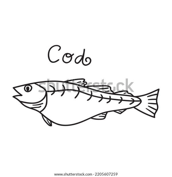 Cod Outline Illustration On White Background Stock Vector (Royalty Free ...