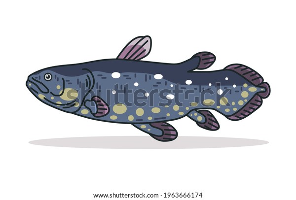 Coelacanth Design Illustration Vector Art Stock Vector (Royalty Free ...
