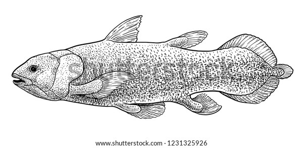 Coelacanth Fish Illustration Drawing Engraving Ink: стоковая векторная ...