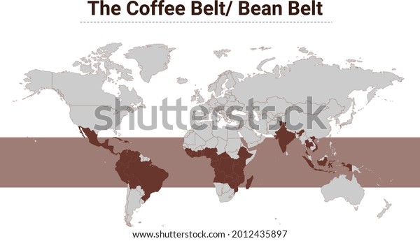 Ilustración del Cinturón de café, Cinturón: vector de stock (libre de ...