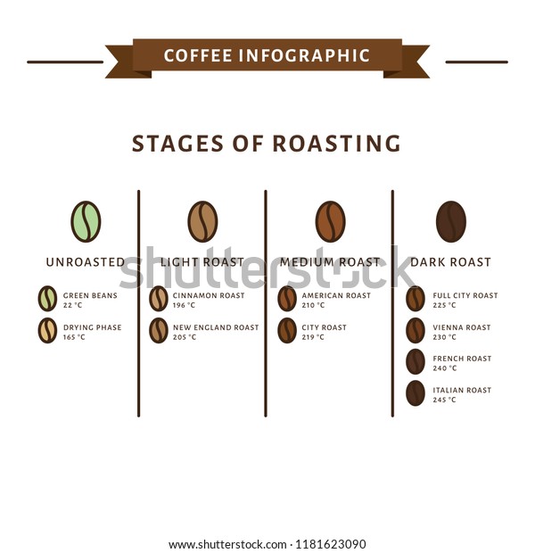 Coffee Infographic Stages Roasting Flat Style Stock Vector (Royalty ...