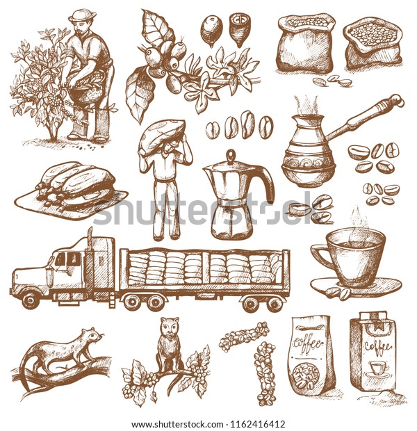 Coffee Production Vector Plantation Farmer Picking Stock Vector ...