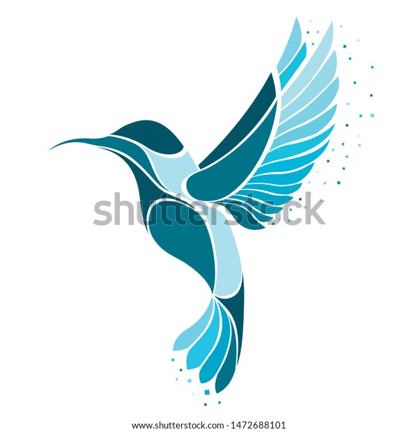 Colibri Bird Vector Illustration Exotic Flying Stock Vector (Royalty ...
