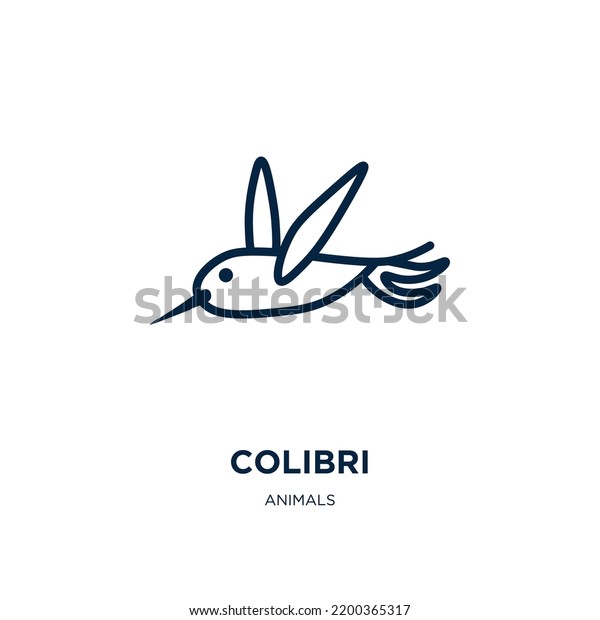 Colibri Icon Animals Collection Thin Linear Stock Vector (Royalty Free ...