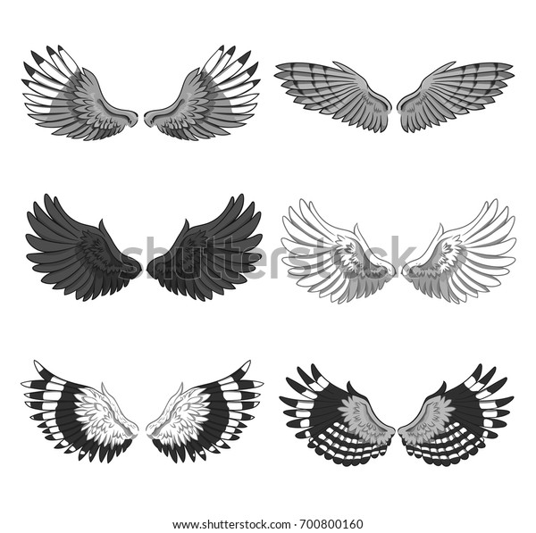Collection 6 Pairs Elegant Bird Angel Stock Vector (Royalty Free) 700800160