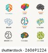 Prefrontal Cortex Photos, Images & Pictures | Shutterstock
