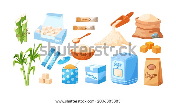 Collection Cane Sugar Sugarcane Products Growing Stock Vector (Royalty ...