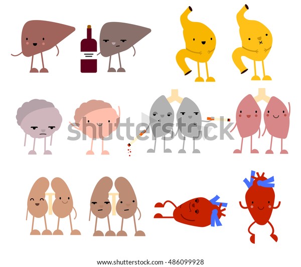 Collection Cartoon Internal Cute Human Organs Stock Vector (Royalty ...