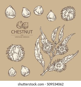 14,458 Chestnut draw Images, Stock Photos & Vectors | Shutterstock