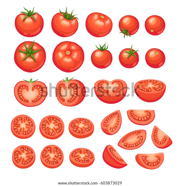 Collection Chopped Tomatoes Isolated On White Stock Vector (Royalty ...