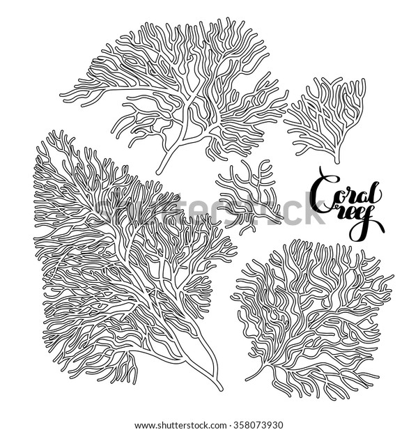 Collection Corals Drawn Line Art Style Stock Vector (Royalty Free ...