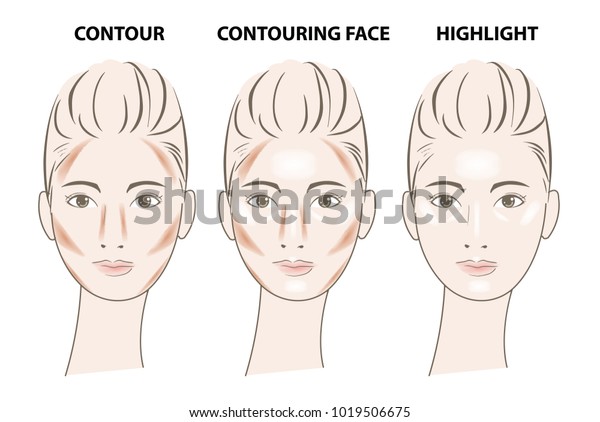 Collection Cosmetics Contouring Beauty Face Vector: vector de stock ...