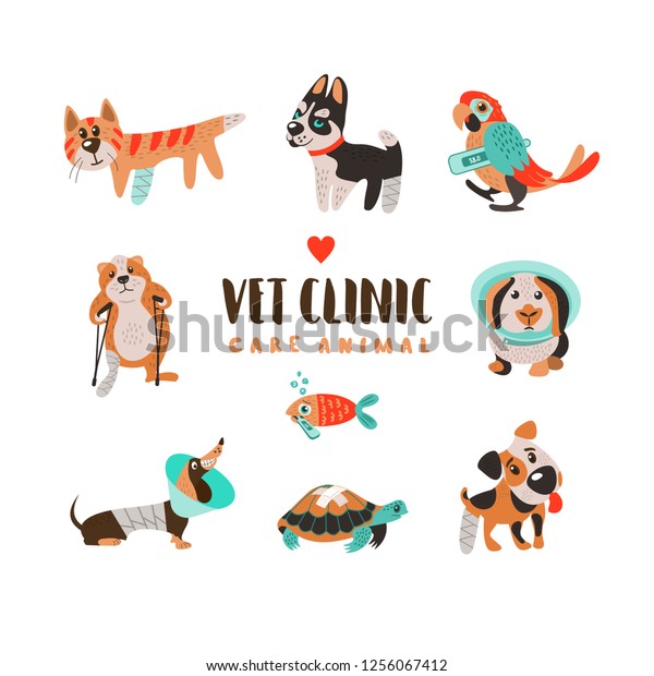 Collection Cute Cartoon Animals Sick Pets Stock Vector (Royalty Free ...