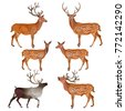 7+ Thousand Deer Side View Royalty-Free Images, Stock Photos & Pictures ...