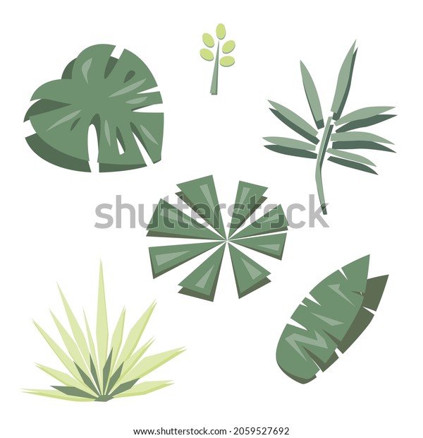 Collection Different Tropical Plants Cartoon Style Stock Vector ...
