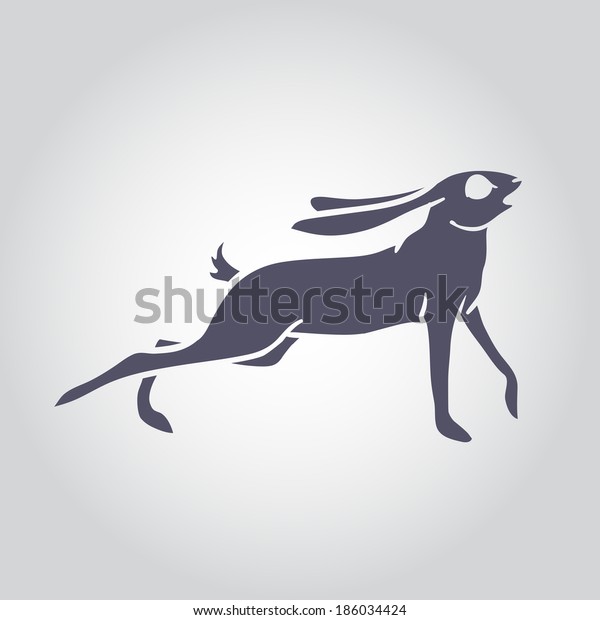 Collection Fast Rabbits Icons Vector Illustration Stock Vector (Royalty ...