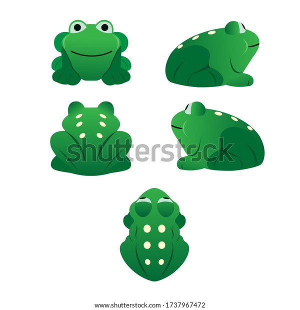 Collection Green Frogs Top View Front Stock Vector (Royalty Free ...