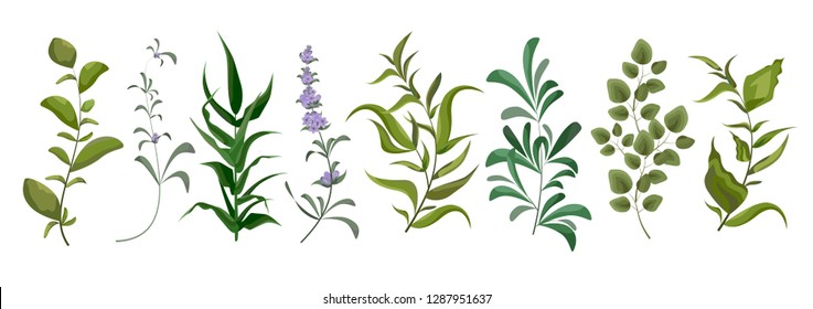 Collection Green Plants Elements Design Vector Stock Vector (Royalty ...