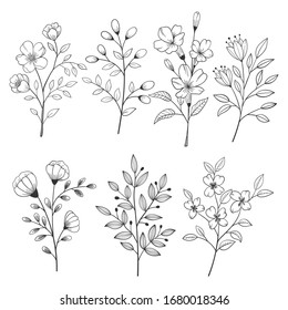 Collection Hand Drawn Floral Elements Set Stock Vector (Royalty Free ...