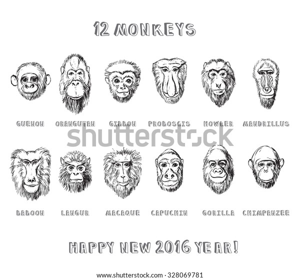 Collection Hand Drawn Monkeys Sketchy Style: vetor stock (livre de ...