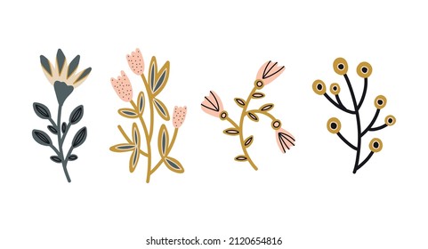 Collection Hand Drawn Natural Elements Flowers Stock Vector (Royalty ...