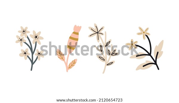 Collection Hand Drawn Natural Elements Flowers Stock Vector (Royalty ...