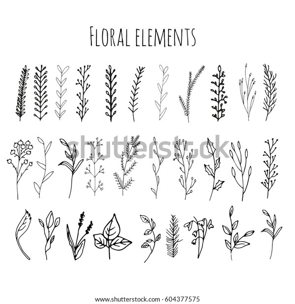 Collection Hand Drawn Vector Floral Branches 库存矢量图（免版税）604377575 ...