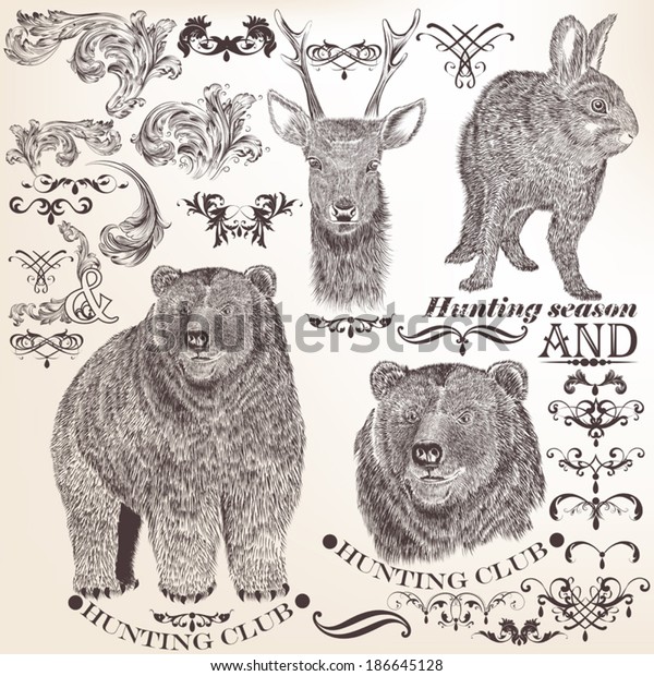 Collection High Detailed Vector Animals Design Stock Vector (Royalty ...