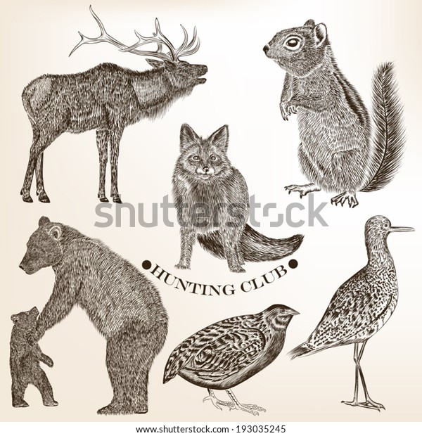 Collection High Detailed Vector Animals Design Stock Vector (Royalty ...