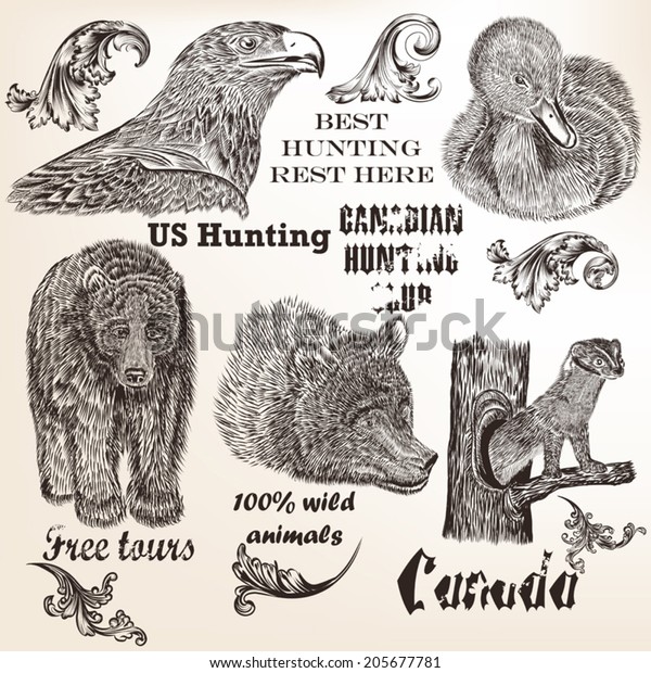 Collection High Detailed Vector Animals Swirls Stock Vector (Royalty ...