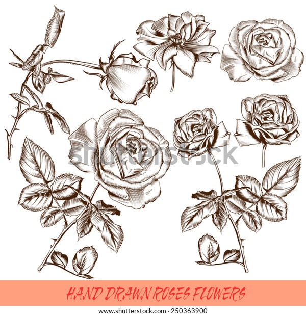Collection High Detailed Vector Flowers Design Stock Vector (Royalty ...