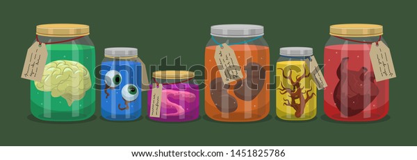 Collection Organs Specimens Preserved Brightly Coloured Stock Vector ...