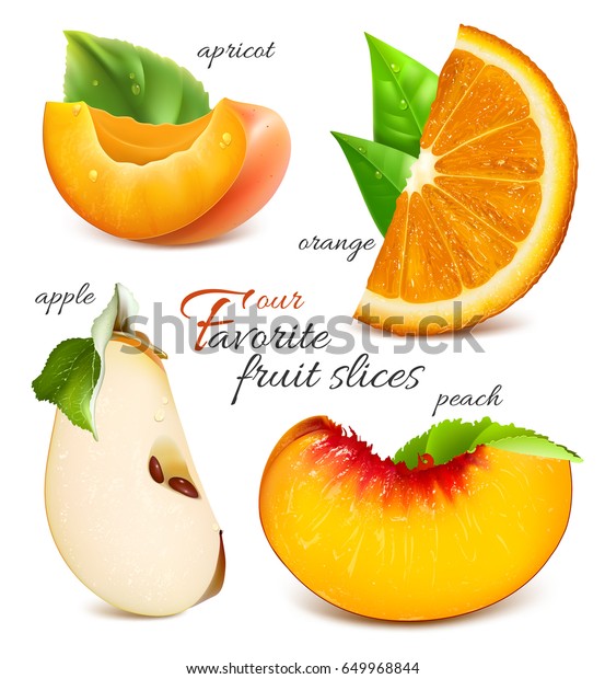 Collection Our Favorite Fruits Vector Illustration Stock Vector ...