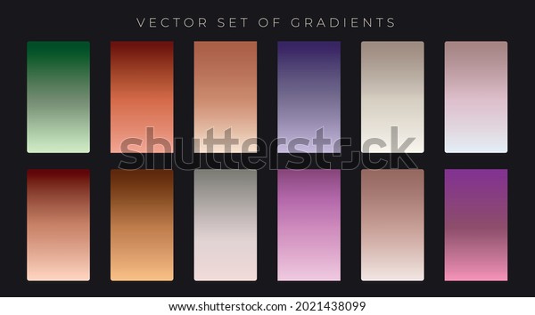 Collection Premium Vintage Gradients Vector Set Stock Vector (Royalty ...