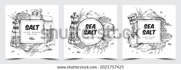 Collection Sea Salt Backgrounds Label Designs Stock Vector (Royalty ...
