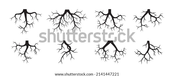 Collection Tree Roots Vector Outline Illustration Stock Vector (Royalty ...